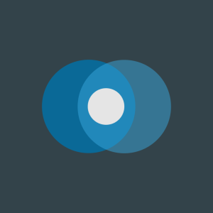 GiG Network – Your Connection Partner